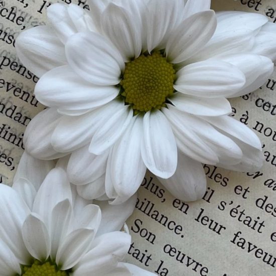 How One-on-One Discipleship Works & Tips for Success – Theology For the ...