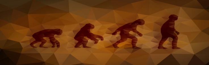 250: Should Christians Believe in Evolution? (Short Version) – Theology ...